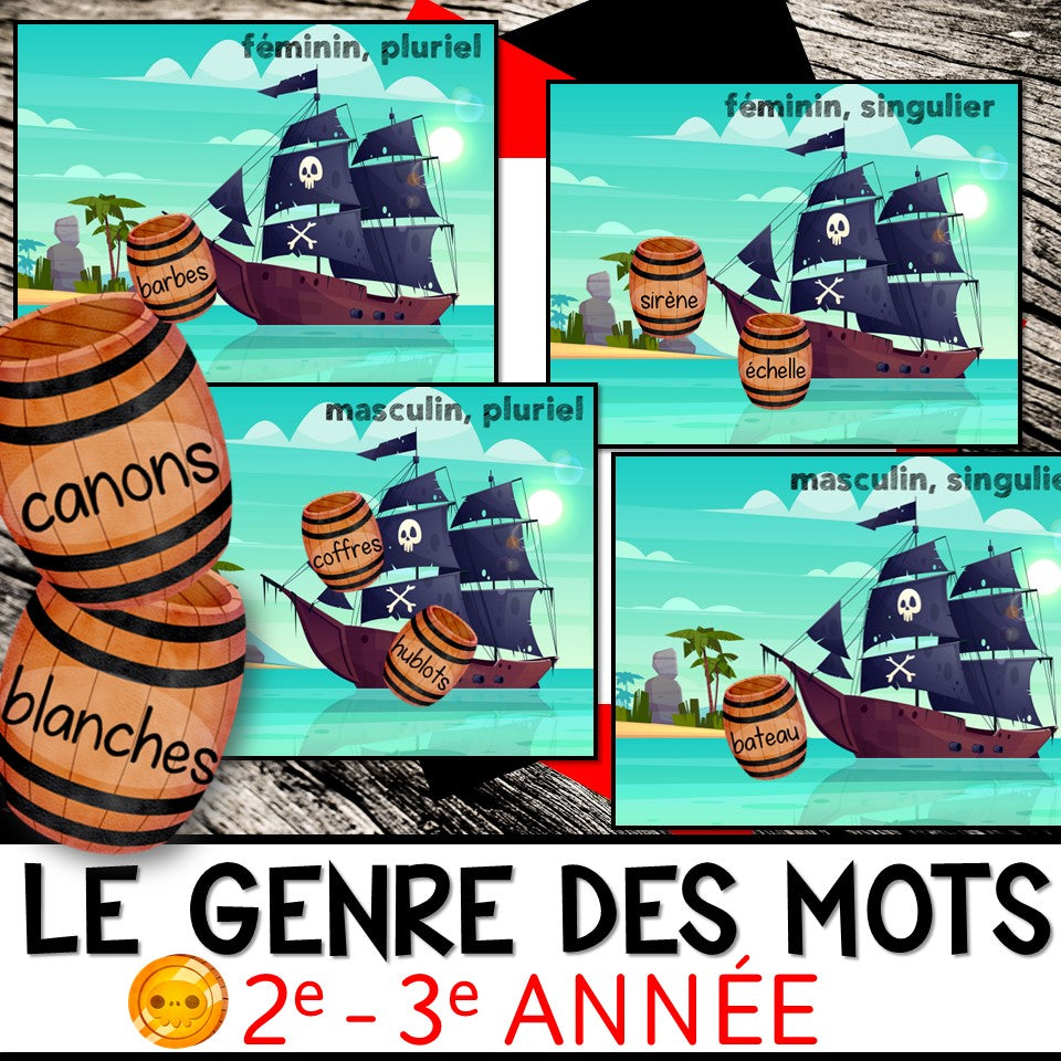 Genre et nombre des noms et adjectifs | 2e-3e année | Madame Soleil